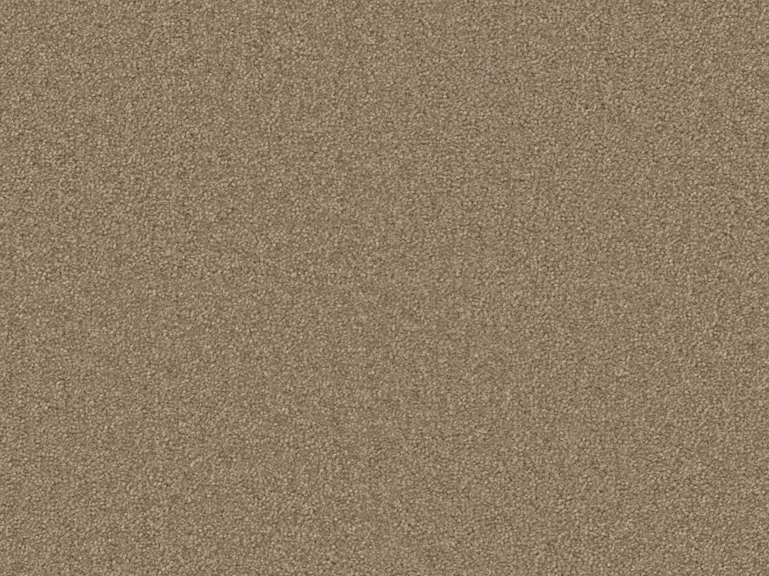 Sienna - Judge Flooring & Carpets